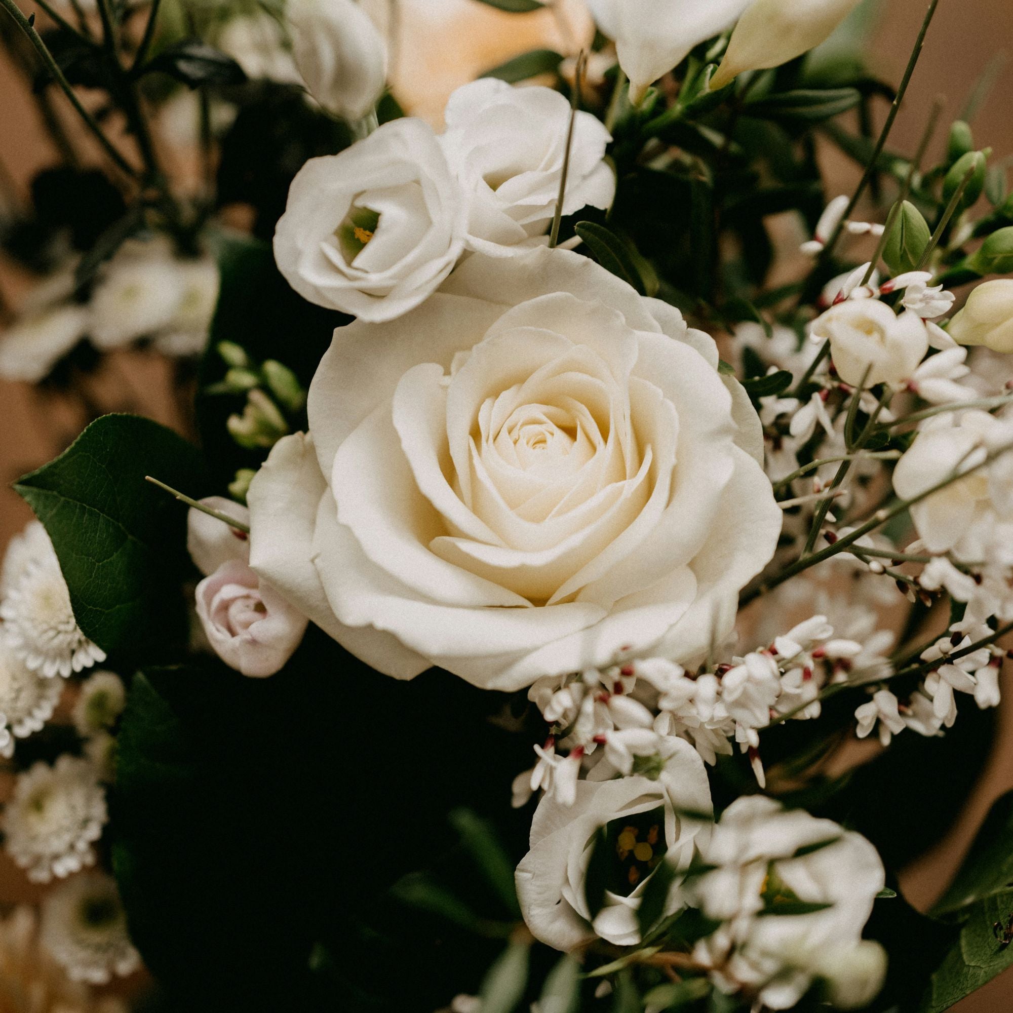 Sarah Haran Serene Neutrals Collection – Sarah Haran Accessories